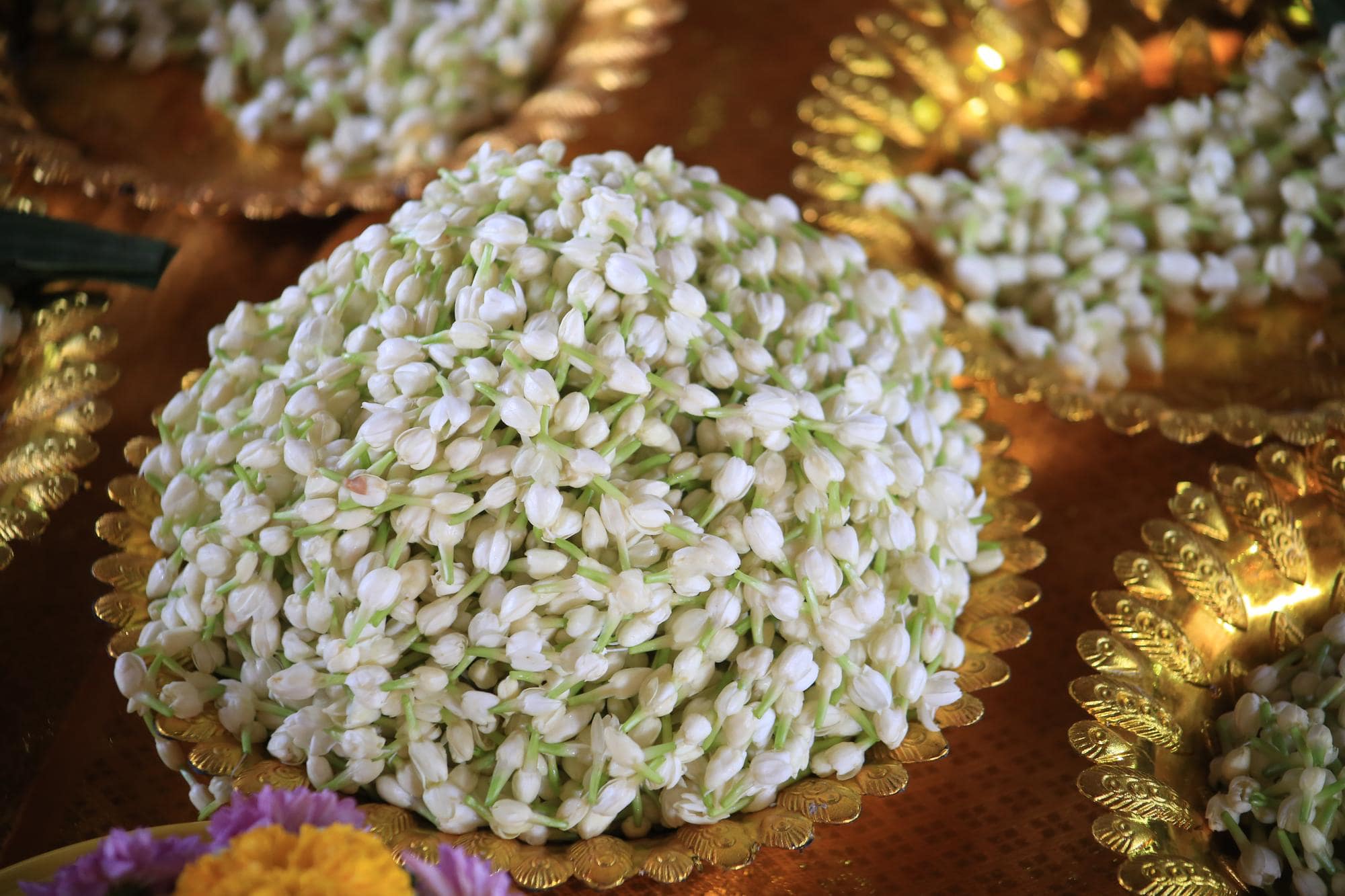 Important Flowers in Buddhism: Meaning of Lotus, & More